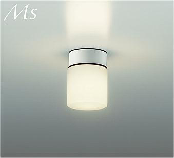 アウトドアライト/玄関灯/シンプル丸タイプ/浴室灯/一般/LED交換可能タイプ/非調光/LED交換可能タイプ(DWP-41754Y)